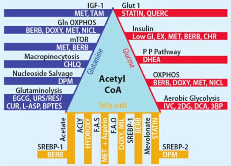 Metabolic Theory of Cancer | Treatment | Precision Wellbeing